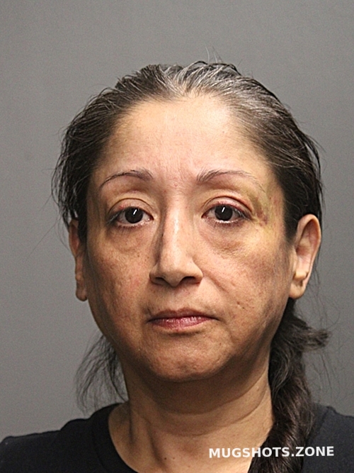 DENISE CUEVAS 08/30/2025 - Chicago Mugshots Zone