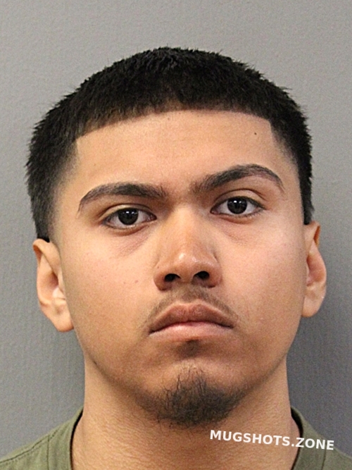 JONATHAN MINON 08/31/2025 - Chicago Mugshots Zone