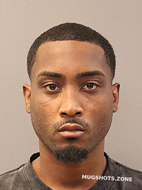 JORDAN L BROWN 08/31/2025 - Chicago Mugshots Zone