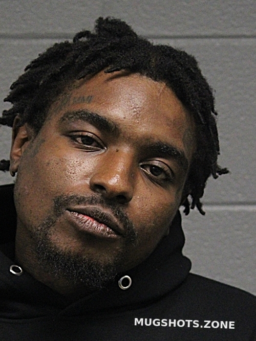 TERRY L STURGIS 08/31/2025 - Chicago Mugshots Zone