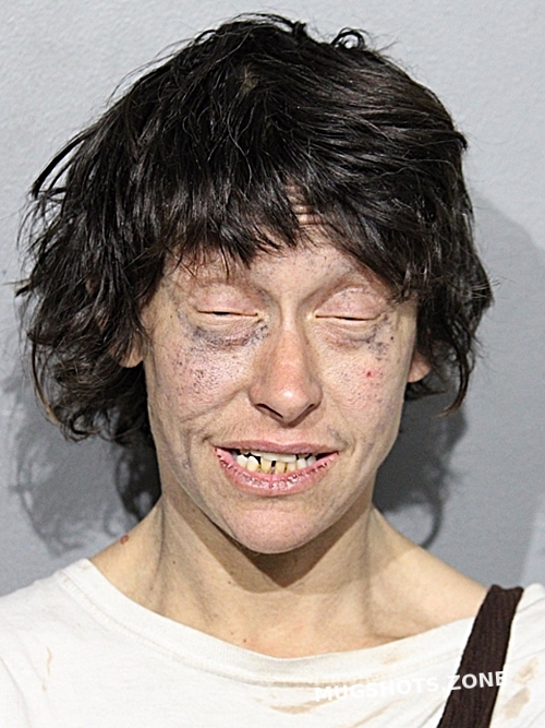 STEPHANIE M VENDOLA 08/31/2025 - Chicago Mugshots Zone