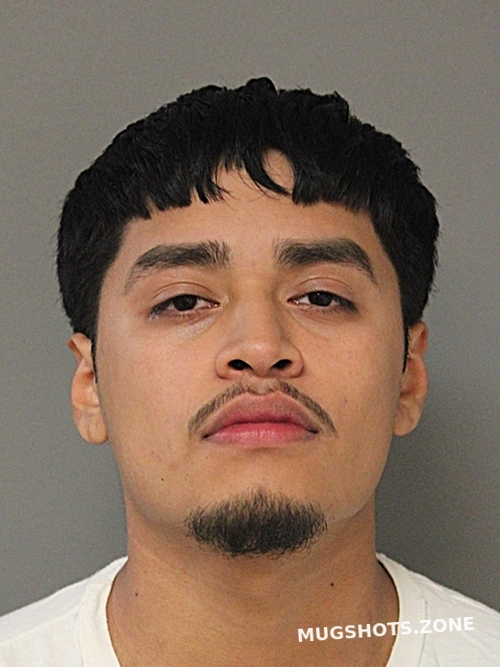 KEVIN DIEGO CARRANZA 09/01/2025 - Chicago Mugshots Zone