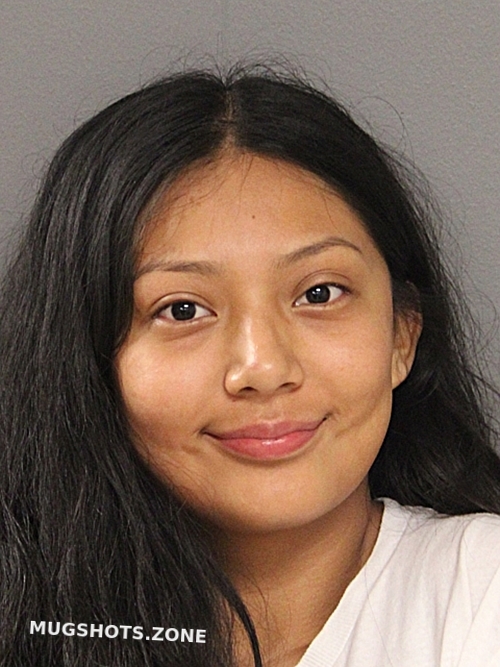 BRENDA SALINAS-HERNANDEZ 09/01/2025 - Chicago Mugshots Zone