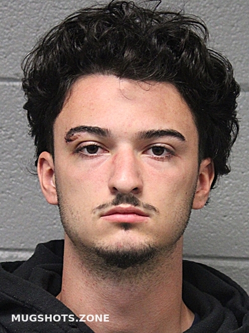 MICHAEL P DAVIS 09/03/2025 - Chicago Mugshots Zone