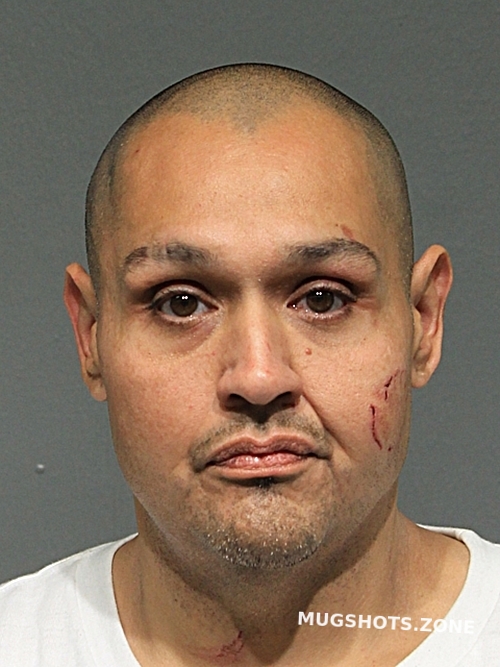 LEONARD D LOSOYA 09/07/2025 - Chicago Mugshots Zone