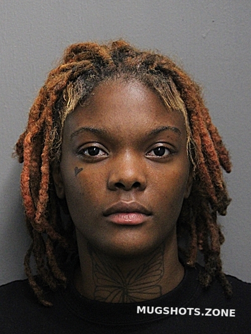 SARAH CHRISTINE JOHNSON 09/08/2025 - Chicago Mugshots Zone