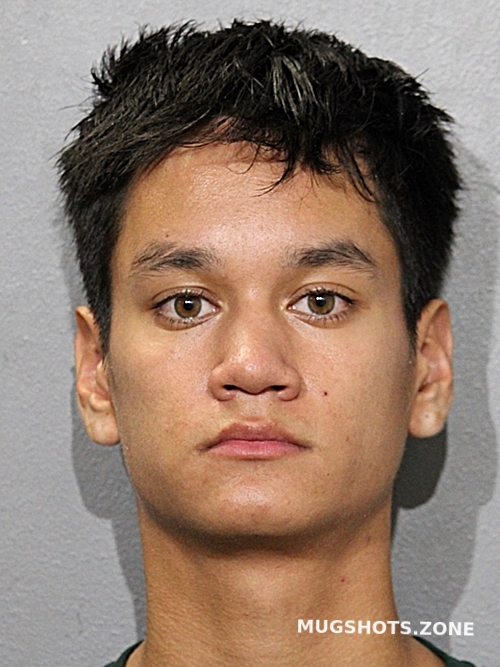 MATTHEW JOSEPH NGUYEN CLARK 09/12/2025 - Chicago Mugshots Zone