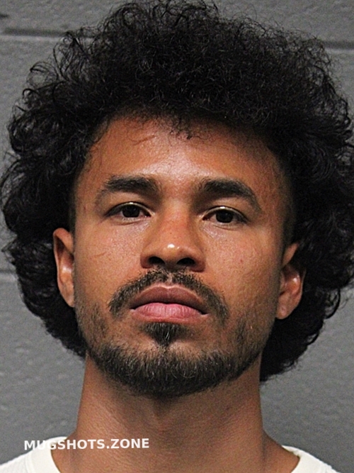 LUIS E LUNA 09/12/2025 - Chicago Mugshots Zone