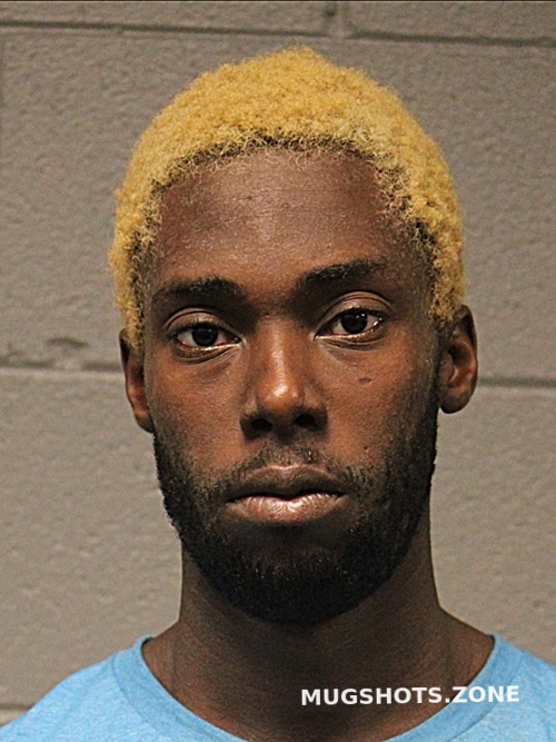 GREGG C THOMPSON 09/13/2025 - Chicago Mugshots Zone