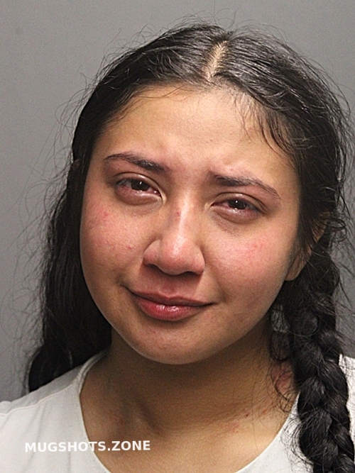 LILY LETICIA LEMUS 09/18/2025 - Chicago Mugshots Zone
