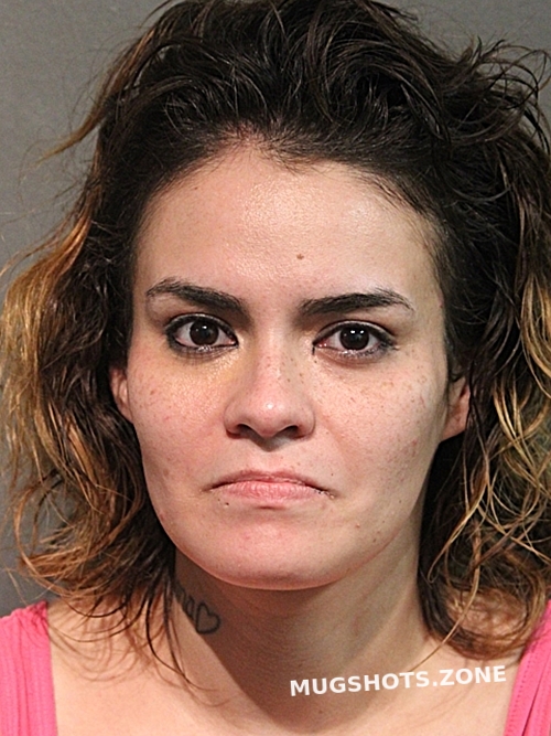 ANA MARIE RENDON 09/29/2025 - Chicago Mugshots Zone