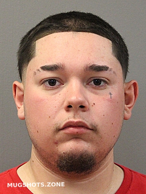 VIRGILIO JAYLENE TORRES 10/01/2025 - Chicago Mugshots Zone