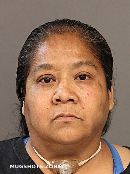 MARIA A REYES 10/03/2025 - Chicago Mugshots Zone