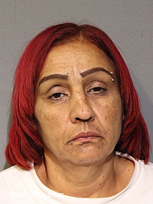 IRIS N ALVAREZ 10/11/2025 - Chicago Mugshots Zone