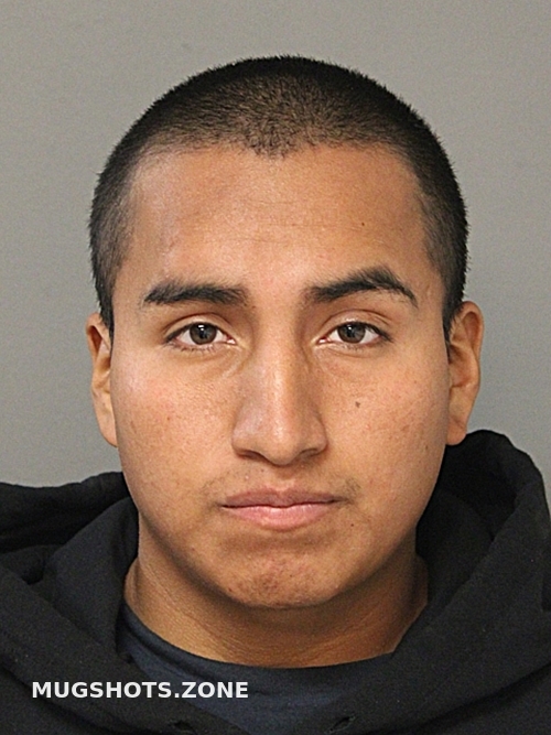 ANGEL TIGERE 10/11/2025 - Chicago Mugshots Zone