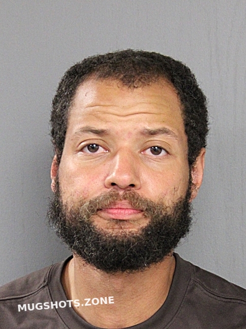 BRANDON C ANDERSON 10/12/2025 - Chicago Mugshots Zone