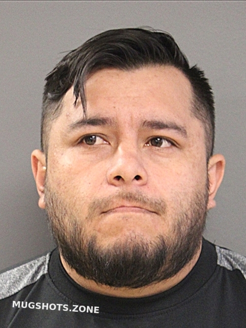 LUIS ANIBAL 10/12/2025 - Chicago Mugshots Zone