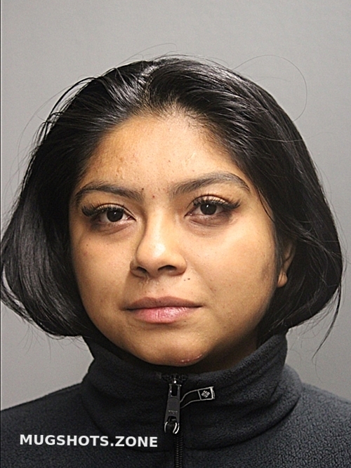 CINDY J TORRES 10/13/2025 - Chicago Mugshots Zone