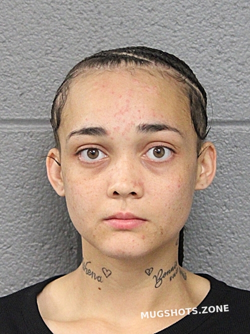 DOMINIQUE L WASHINGTON 10/14/2025 - Chicago Mugshots Zone