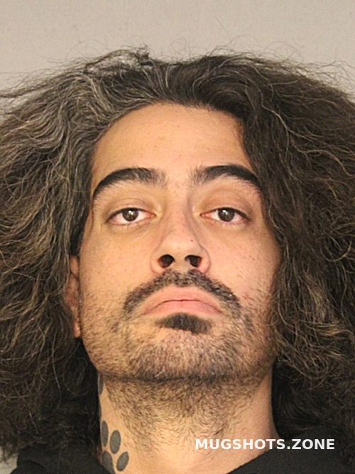 LUIS EMILIO GONZALEZ JR 10/16/2025 - Chicago Mugshots Zone
