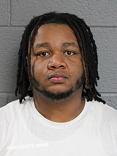 TERRY L LEE 10/16/2025 - Chicago Mugshots Zone