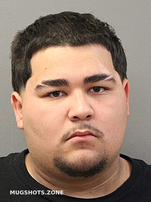 EVAN A REICH 10/17/2025 - Chicago Mugshots Zone