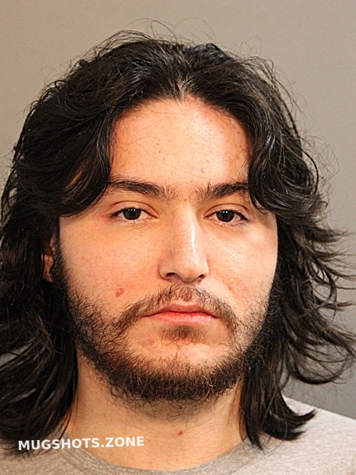 GABRIEL R MEDINA 10/17/2025 - Chicago Mugshots Zone