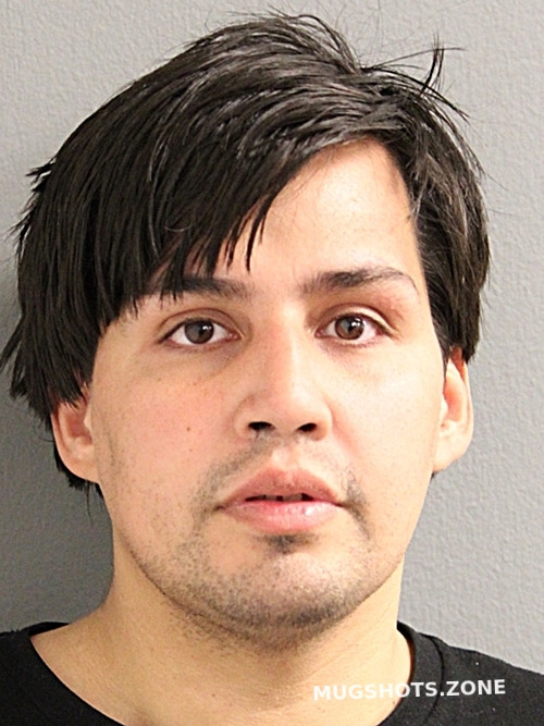MICHAEL SORIA 10/19/2025 - Chicago Mugshots Zone