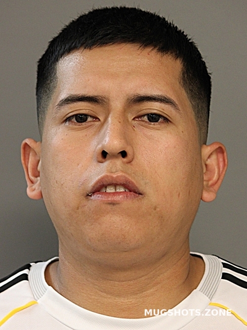 JAYSON ALEXANDER POZO VARRE 10/23/2025 - Chicago Mugshots Zone