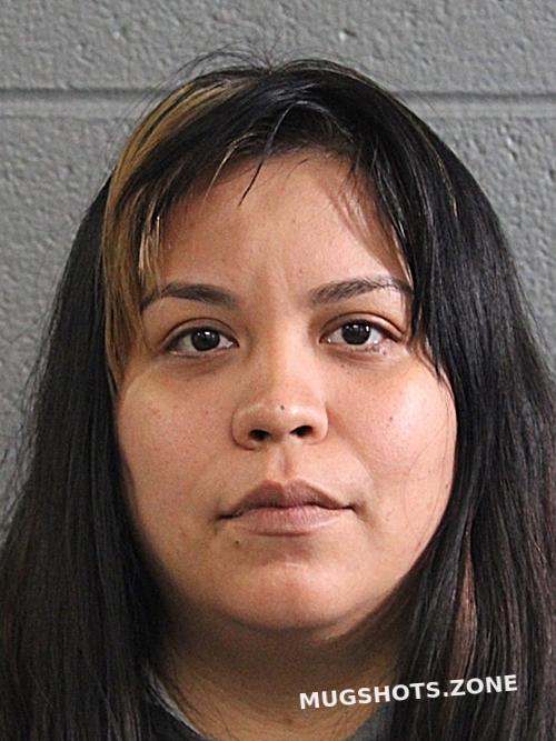 SELENA SANTOYO ANAYA 10/31/2025 - Chicago Mugshots Zone