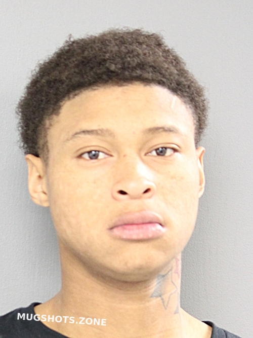 TRAVION D CROFT 11/01/2025 - Chicago Mugshots Zone