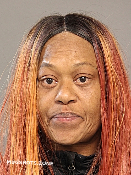 ANNETTE MARIE FREEMAN 11/01/2025 - Chicago Mugshots Zone