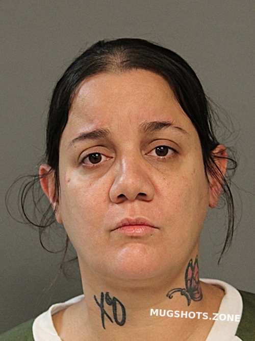 CARMEN IRIS ORTEGA 11/02/2025 - Chicago Mugshots Zone