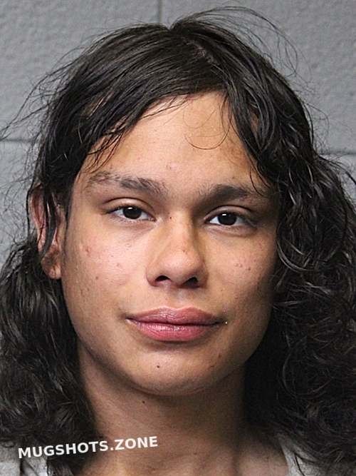 MARIO ALEXIS SUASTEGUI 11/02/2025 - Chicago Mugshots Zone