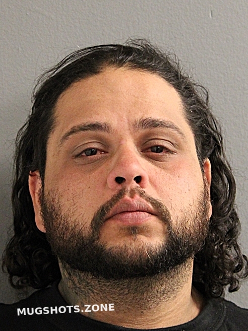 CHRISTIAN J SANTIAGO 11/04/2025 - Chicago Mugshots Zone
