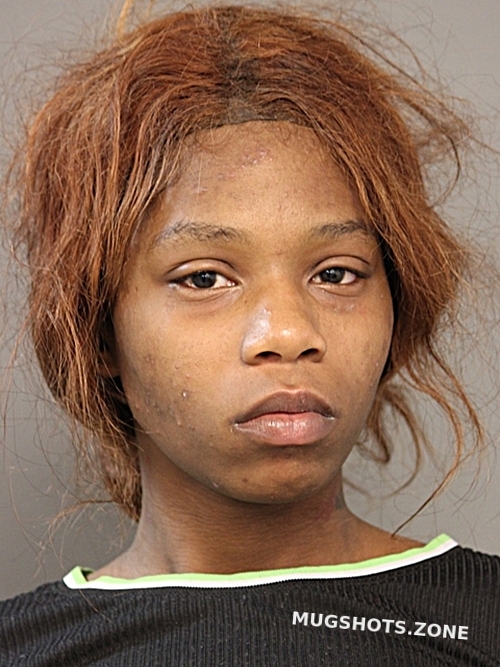 LINETTE H PASCHAL 11/05/2025 - Chicago Mugshots Zone