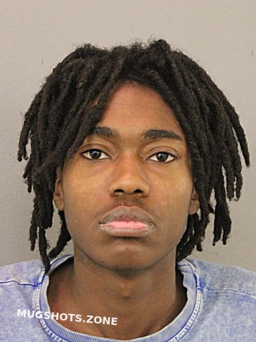 CHRISTOPHER DEWITT MARSHALL 11/11/2025 - Chicago Mugshots Zone