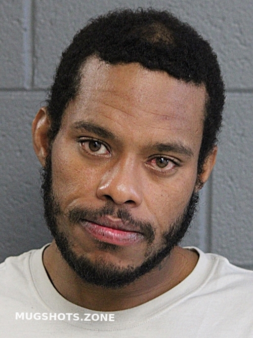 SEAN D WILSON 11/11/2025 - Chicago Mugshots Zone