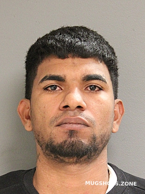 YENZON GABRIEL SAVEDRA ANTUNEZ 11/16/2025 - Chicago Mugshots Zone