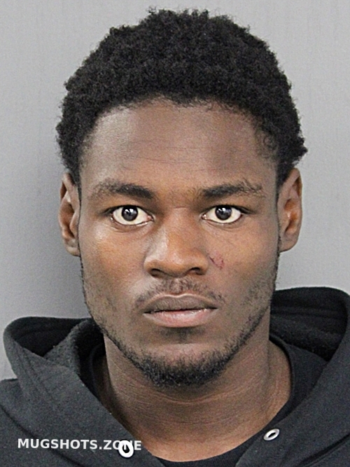 KENDRIX GOODWIN 11/16/2025 - Chicago Mugshots Zone