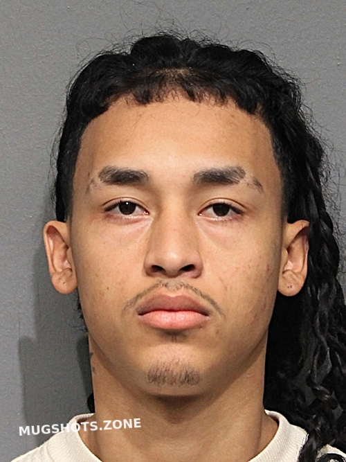 LUIS F SUAREZ 11/18/2025 - Chicago Mugshots Zone