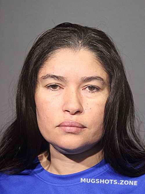 PAULA JAZMIN PAULINO DEVASQUEZ 11/18/2025 - Chicago Mugshots Zone