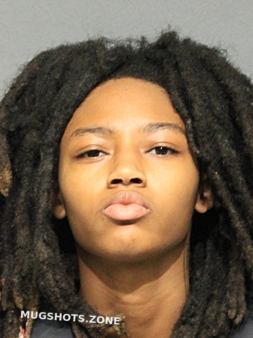 DEZARIE MCQUALL 11/21/2025 - Chicago Mugshots Zone