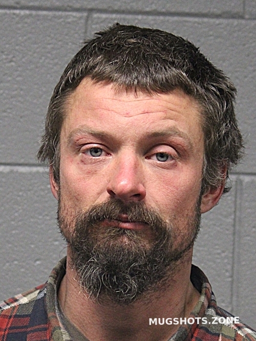 DAVID P GREGORY 11/26/2025 - Chicago Mugshots Zone