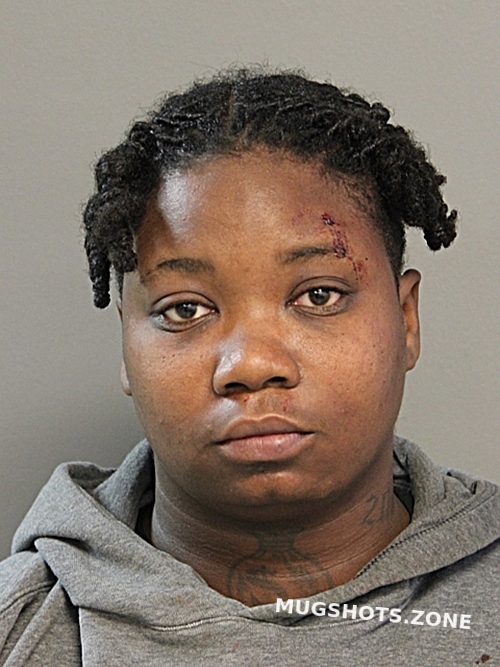 ARIANNA T TAYLOR 11/28/2025 - Chicago Mugshots Zone