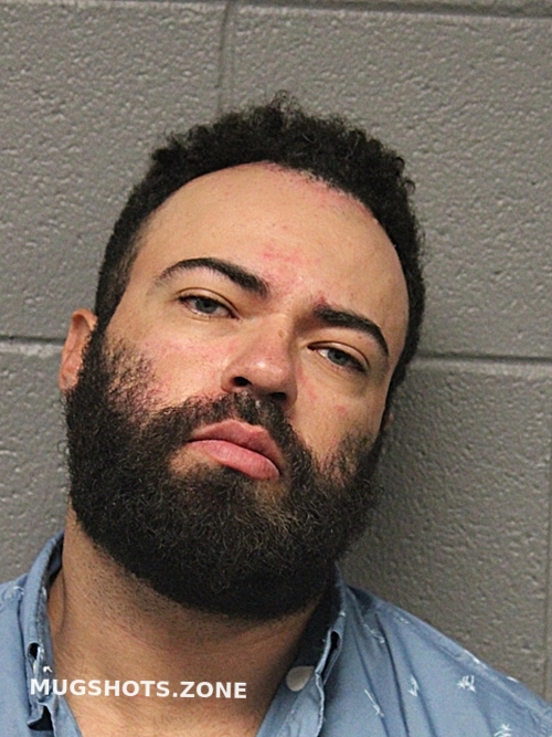 TYLER D WILSON 11/28/2025 - Chicago Mugshots Zone