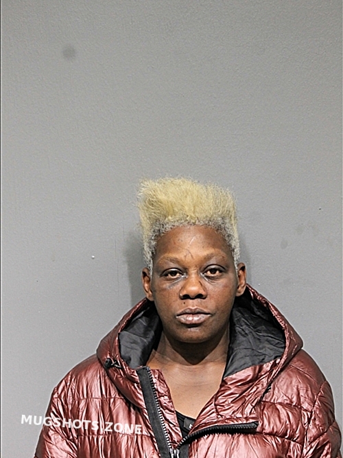 NATASHA CAPERE 11/29/2025 - Chicago Mugshots Zone