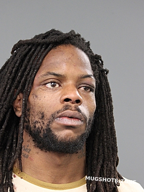 BRUCE A PICKETT 12/07/2025 - Chicago Mugshots Zone