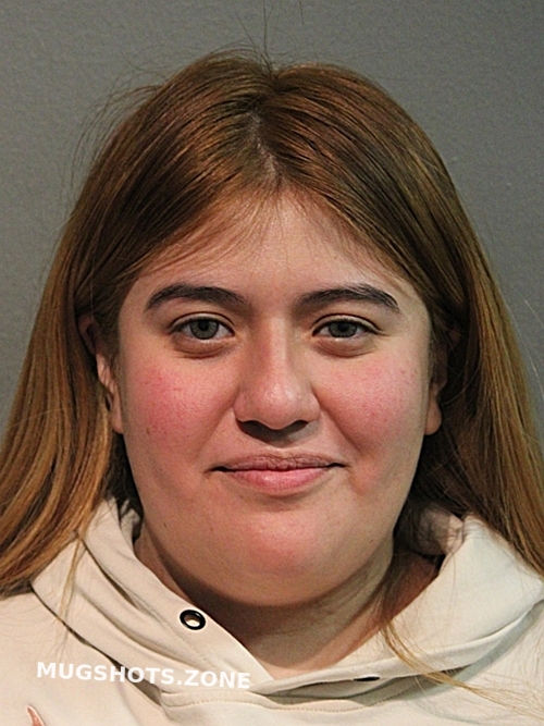 JENNIFER A HERNANDEZ 12/08/2025 - Chicago Mugshots Zone