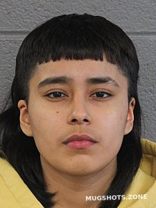 ISABELLA DELILA MENDIOLA 12/09/2025 - Chicago Mugshots Zone
